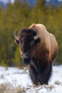 America's National Parks: Season 2, Episode 1 | Rotten Tomatoes