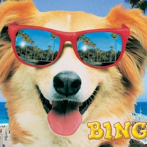 Bingo - Rotten Tomatoes