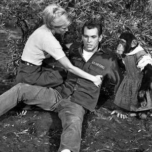 Monkeys, Go Home! - Rotten Tomatoes