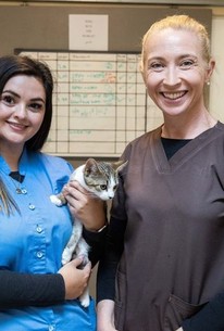 Cat Hospital: Season 2, Episode 1 | Rotten Tomatoes