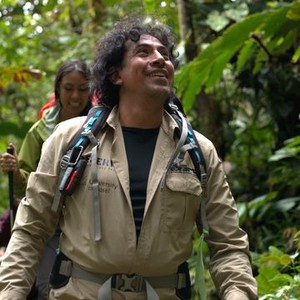 Wild Hope - Rotten Tomatoes