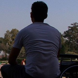 When I Walk - Rotten Tomatoes