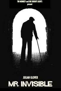 Mr. Invisible | Rotten Tomatoes