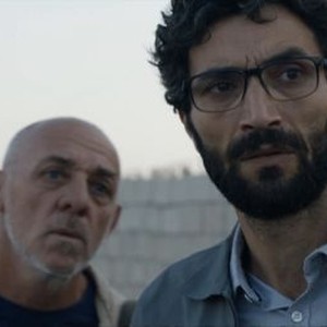 The Translator - Rotten Tomatoes