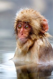 Monkey Planet: Season 1, Episode 2 | Rotten Tomatoes