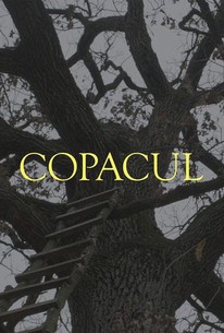 Copacul (2020) | Rotten Tomatoes