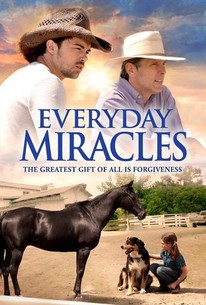 Everyday Miracles Rotten Tomatoes