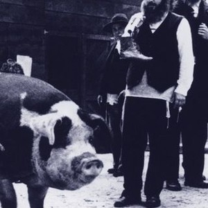 The Man Without a World - Rotten Tomatoes