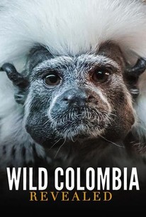 Wild Colombia Revealed | Rotten Tomatoes