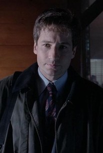 The X-Files: Season 1, Episode 19 | Rotten Tomatoes