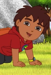 Go, Diego, Go!: Season 4, Episode 4 - Rotten Tomatoes