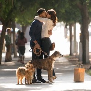 Dog Days - Rotten Tomatoes