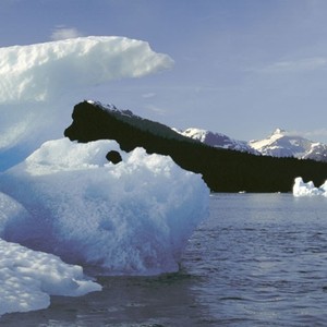 Sacred Planet - Rotten Tomatoes