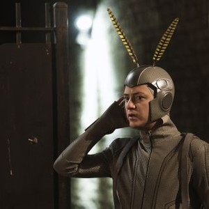 The Tick - Rotten Tomatoes