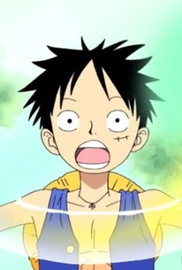 One Piece: Season 11, Episode 10 | Rotten Tomatoes