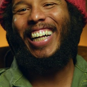 Marley - Rotten Tomatoes