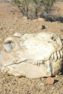 How the Earth Was Made: Season 2, Episode 11 - Rotten Tomatoes