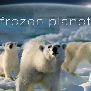 Frozen Planet: Season 1, Episode 1 - Rotten Tomatoes