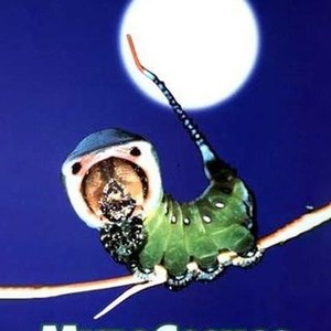 Microcosmos - Rotten Tomatoes