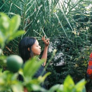 Big House - Rotten Tomatoes