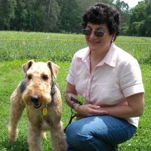 Dogs 101 - Rotten Tomatoes