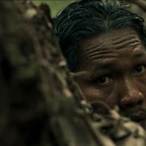 The Prey - Rotten Tomatoes