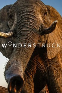 Wonderstruck | Rotten Tomatoes