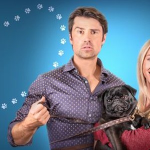 The Dog Lover's Guide to Dating - Rotten Tomatoes