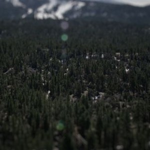 Old Strangers - Rotten Tomatoes