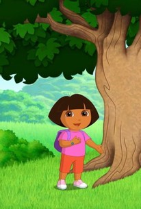 Dora the Explorer: Season 8, Episode 19 | Rotten Tomatoes