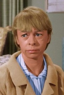 Bewitched: Season 2, Episode 30 | Rotten Tomatoes