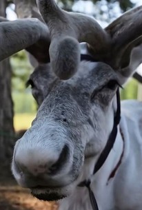 The Pilgrim: Season 1, Episode 20 | Rotten Tomatoes