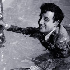 The Party - Rotten Tomatoes