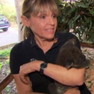 Totally Wild: Season 24, Episode 64 - Rotten Tomatoes