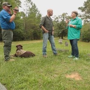 John Ceallach - Rotten Tomatoes