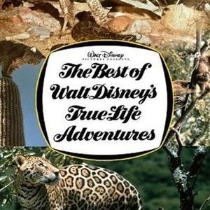 The Best of Walt Disney's True-Life Adventures - Rotten Tomatoes