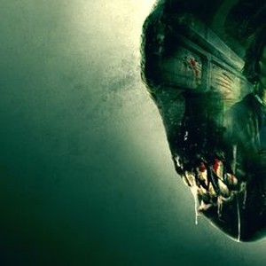 The Lair - Rotten Tomatoes