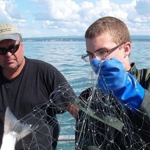 Alaska Fish Wars - Rotten Tomatoes