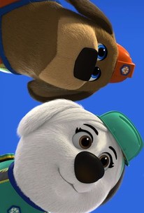 Pupstruction: Season 1, Episode 13 | Rotten Tomatoes