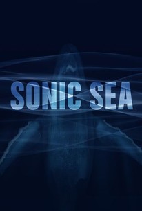 Sonic Sea | Rotten Tomatoes