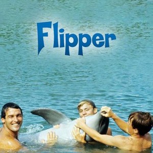 Flipper: Season 1, Episode 17 - Rotten Tomatoes