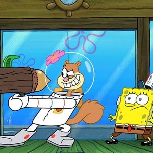 SpongeBob SquarePants: Season 13, Episode 22 - Rotten Tomatoes