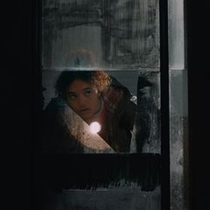 Susie Searches - Rotten Tomatoes