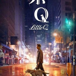 Little Q - Rotten Tomatoes