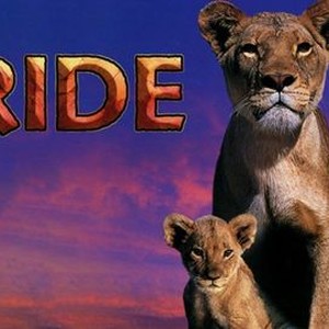 Pride - Rotten Tomatoes