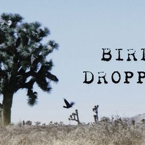 Birds Dropping - Rotten Tomatoes