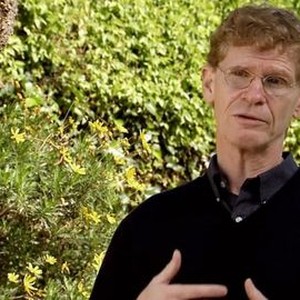 Life After People: Season 1, Episode 6 - Rotten Tomatoes