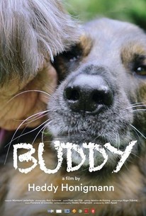 Buddy | Rotten Tomatoes