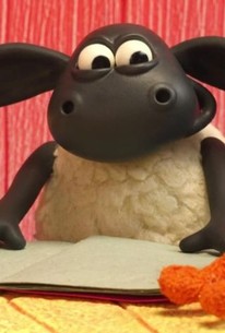 Timmy Time: Season 3, Episode 26 | Rotten Tomatoes