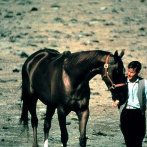 Tom Burlinson - Rotten Tomatoes